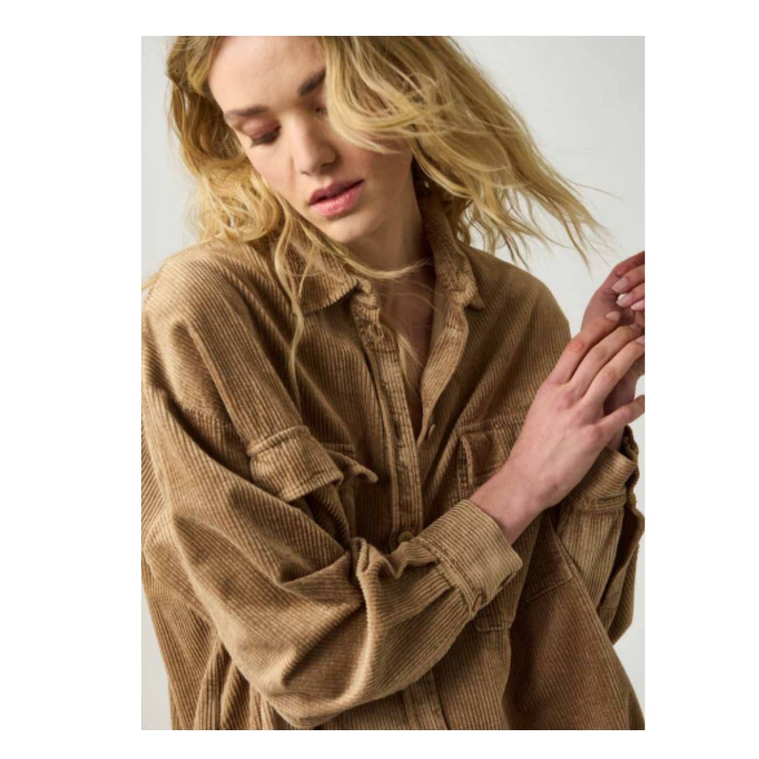 Transit Italy – Strelitzia