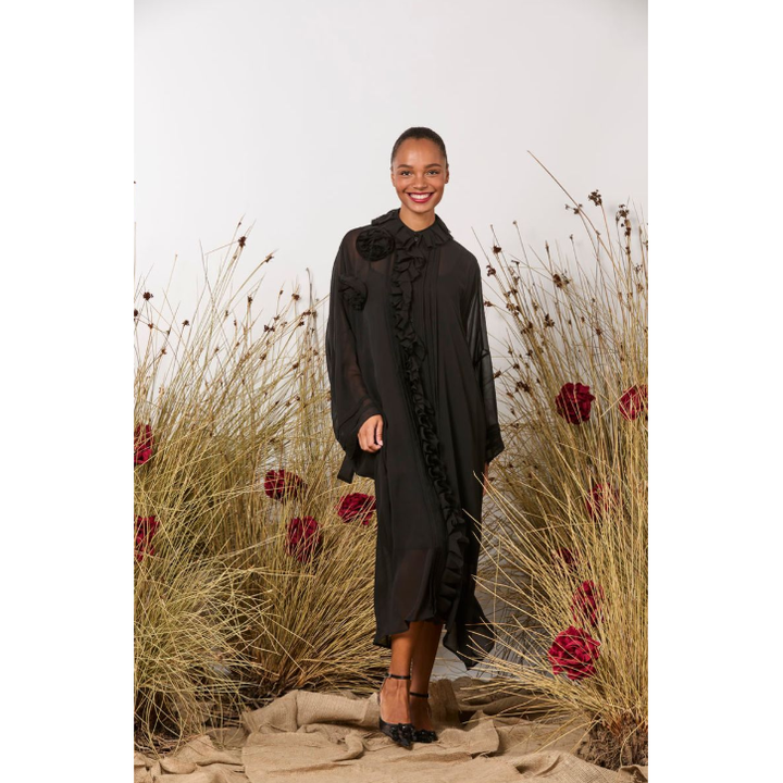 M.A Dainty – Strelitzia